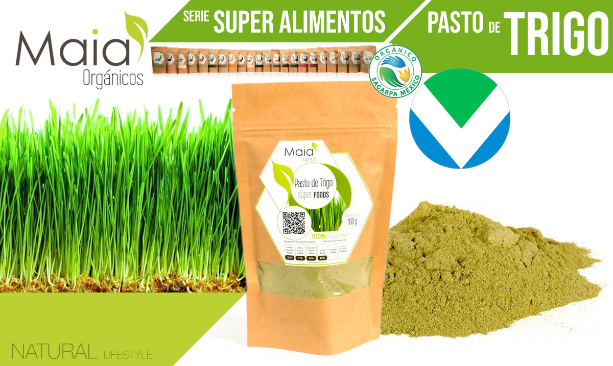 Pasto de Trigo - Maia Orgánicos